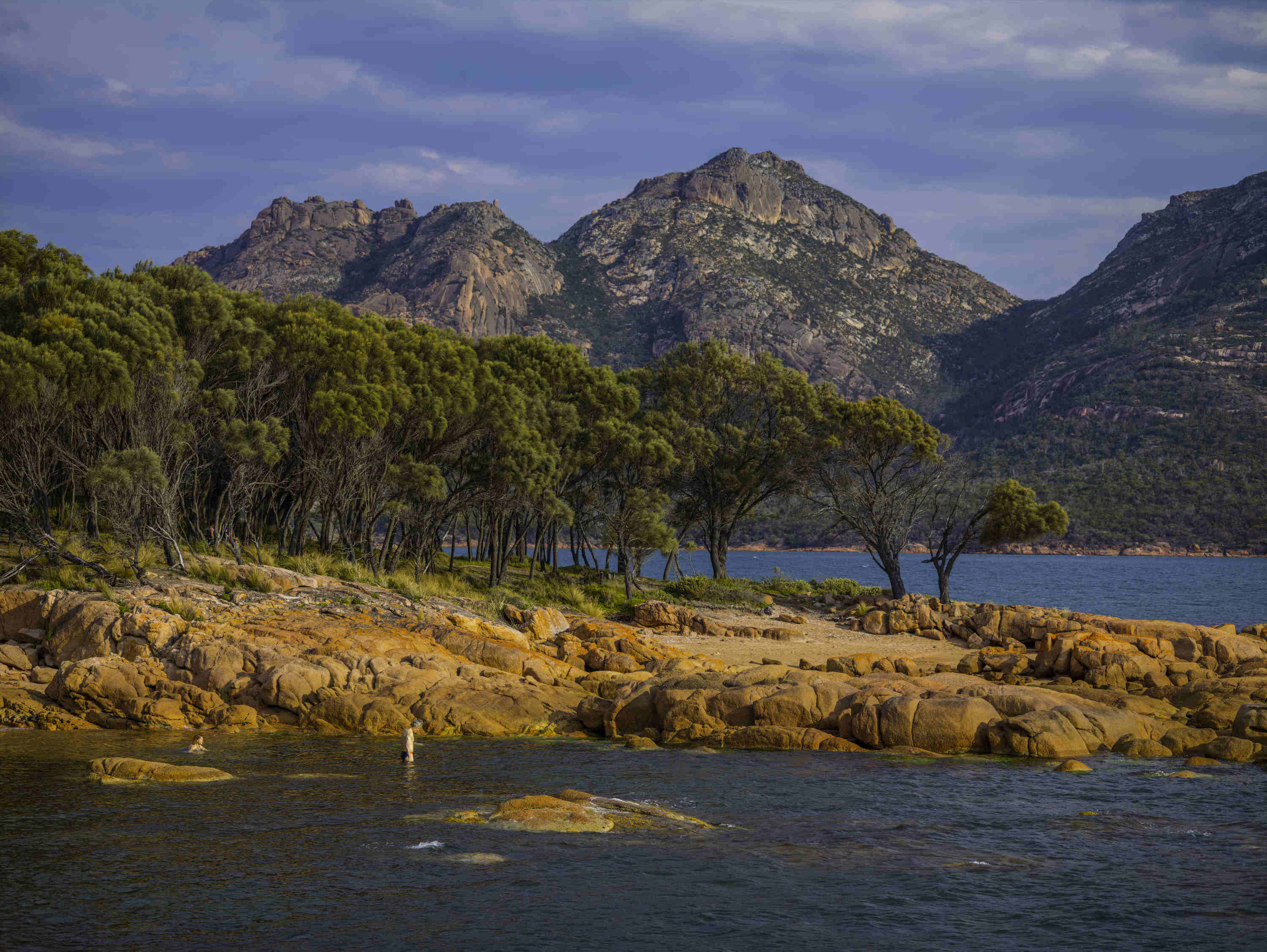 About Us - Planet Ark Recycling Near You